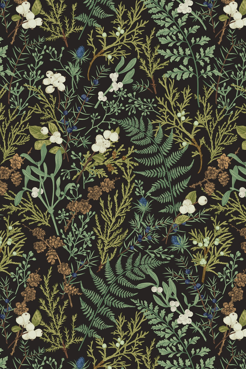 Fern Leaves Botanical Wallpaper, Night Garden, Black Background 3372 ...