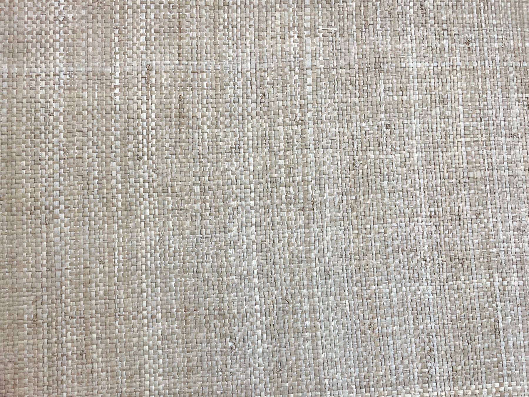 Natural Grasscloth Raffia rough Wallpaper Natural fibers in beige colo ...